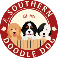 AVAILABLE PUPPIES – The Southern Doodle Dog